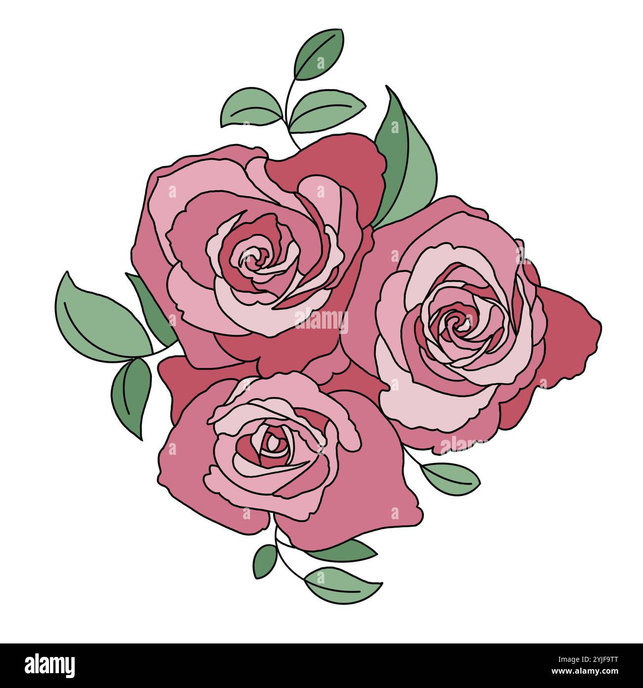 Hand drawn illustration botanical roses hi-res stock photography and ...