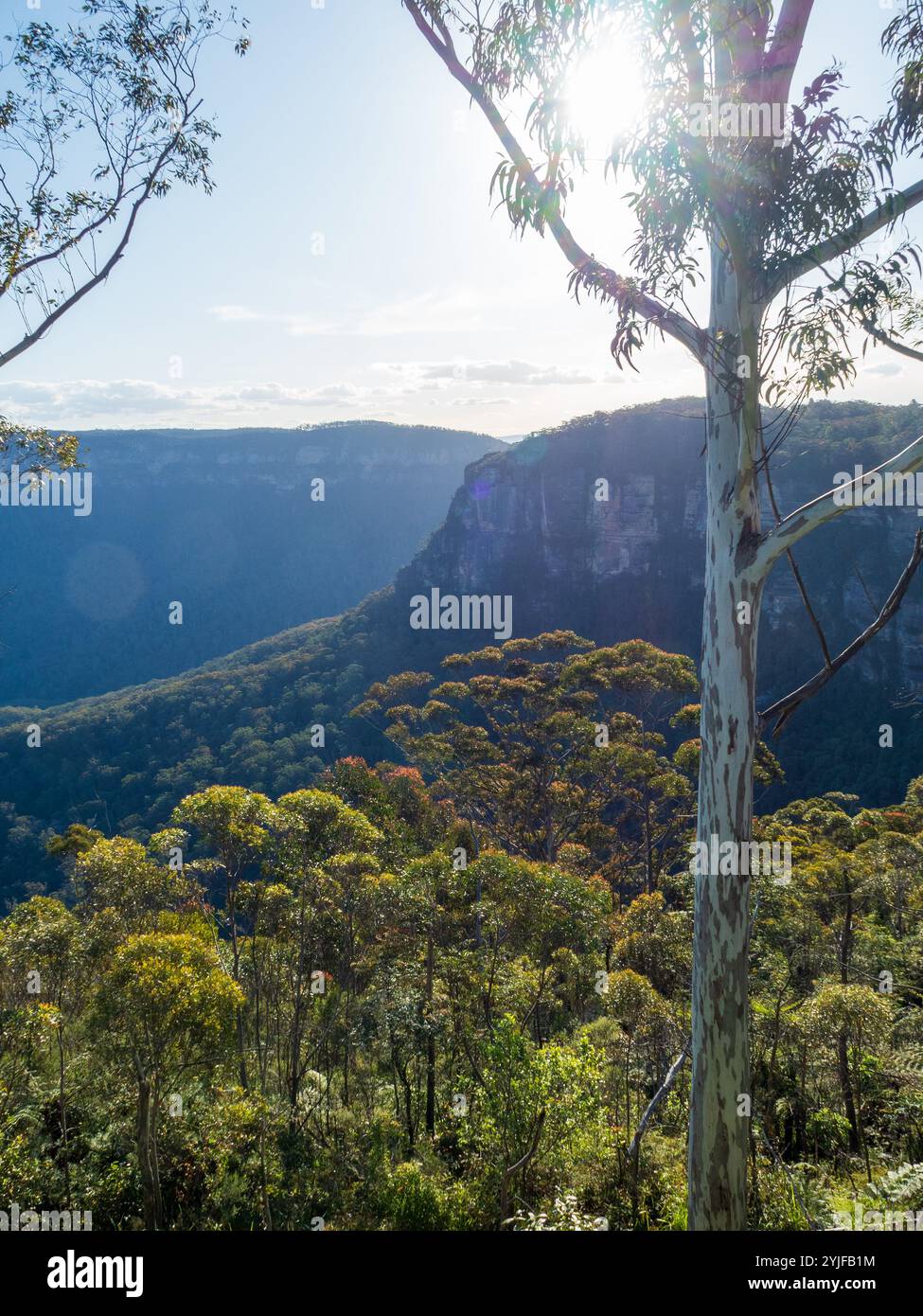 View looking down through the Jamison Valley from Echo point Lookout to ...