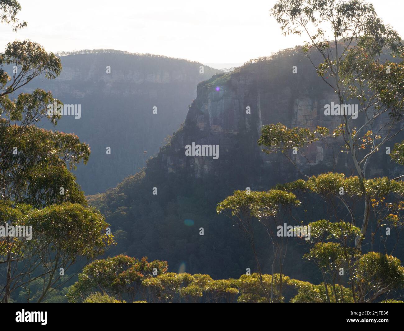 View looking down through the Jamison Valley from Echo point Lookout to ...