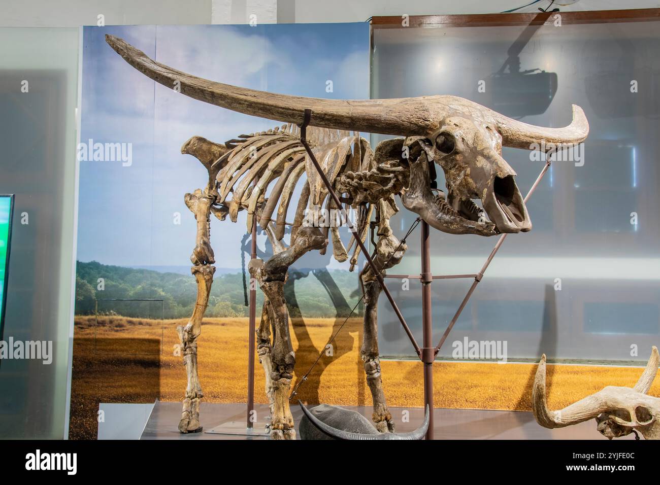 Geologi museum hi-res stock photography and images - Alamy