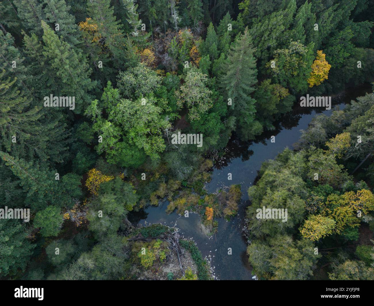 A top down aerial view of the San Lorenzo river and surrounding ...