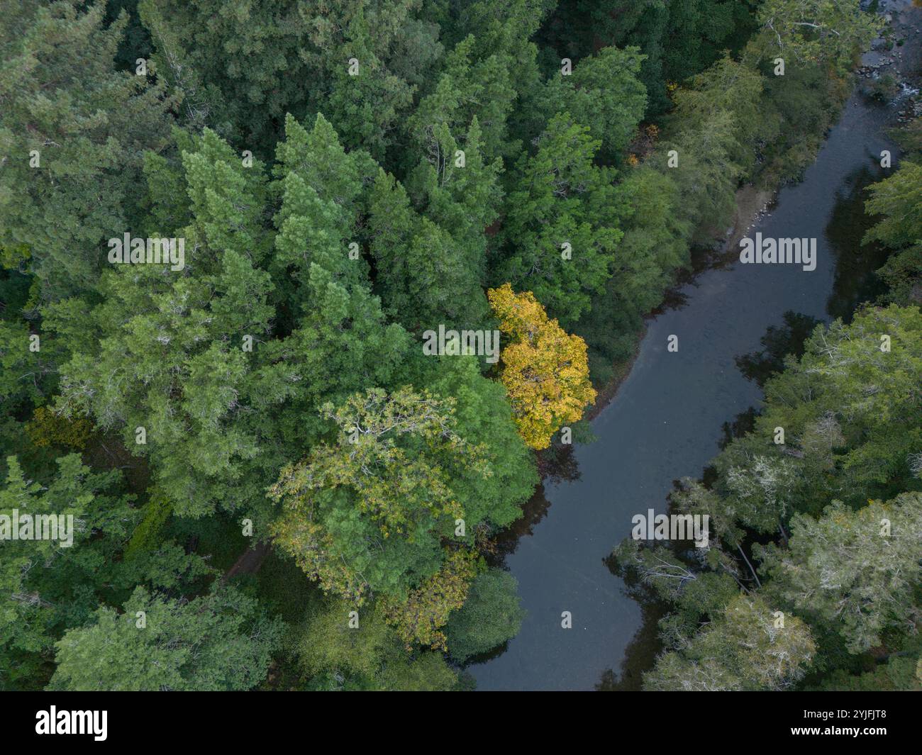 A top down aerial view of the San Lorenzo river and surrounding ...