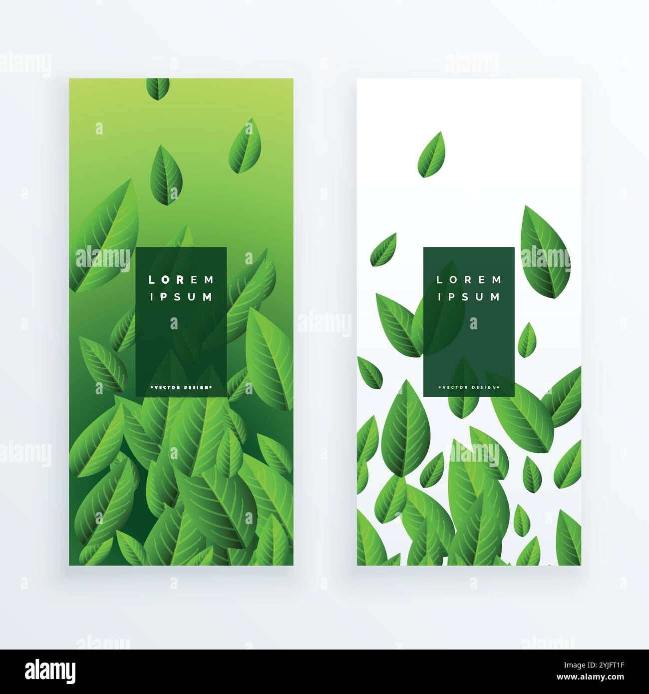 green leaves card design set Stock Vector Image & Art - Alamy