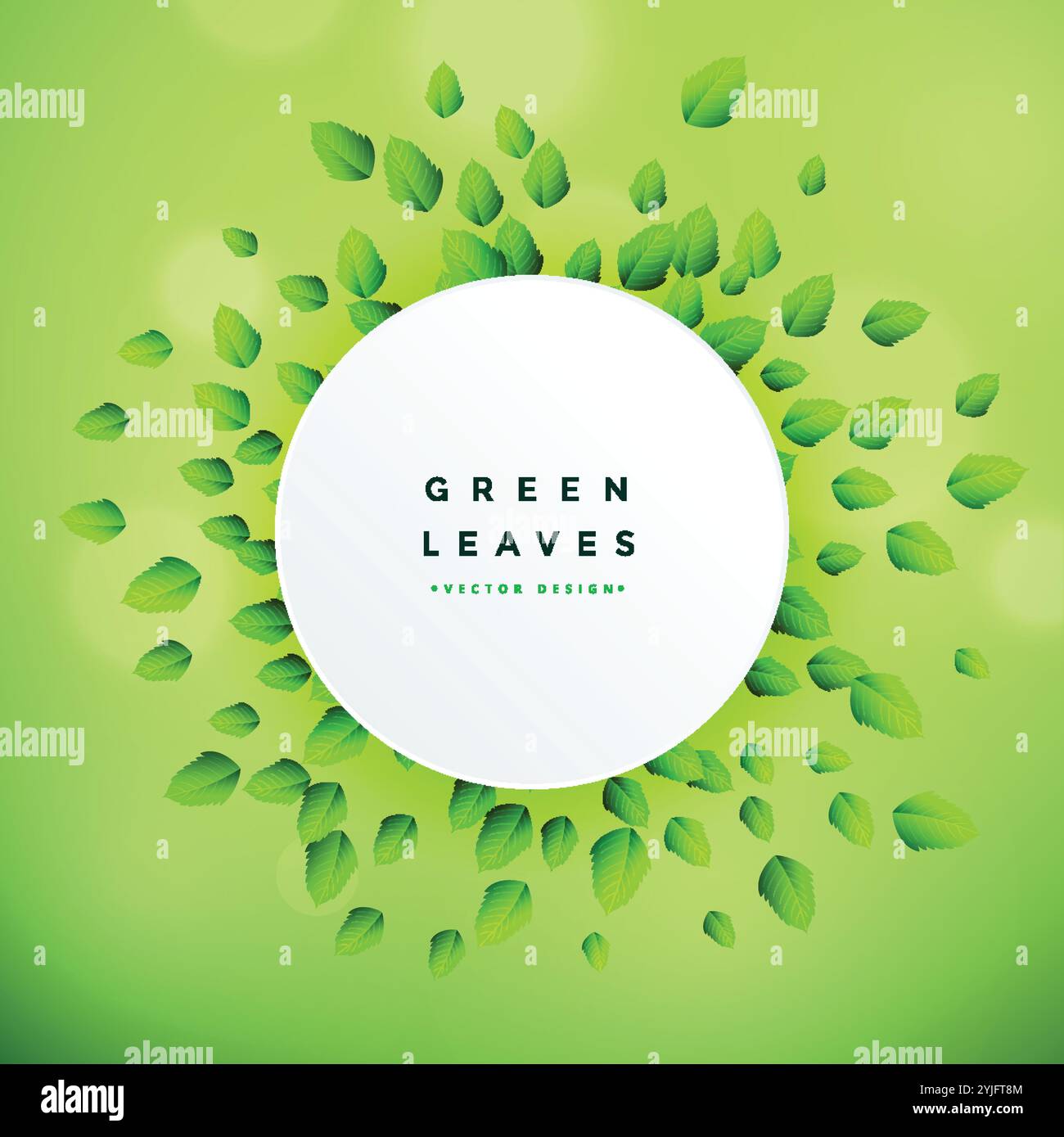 beautiful green leaves frame background Stock Vector Image & Art - Alamy