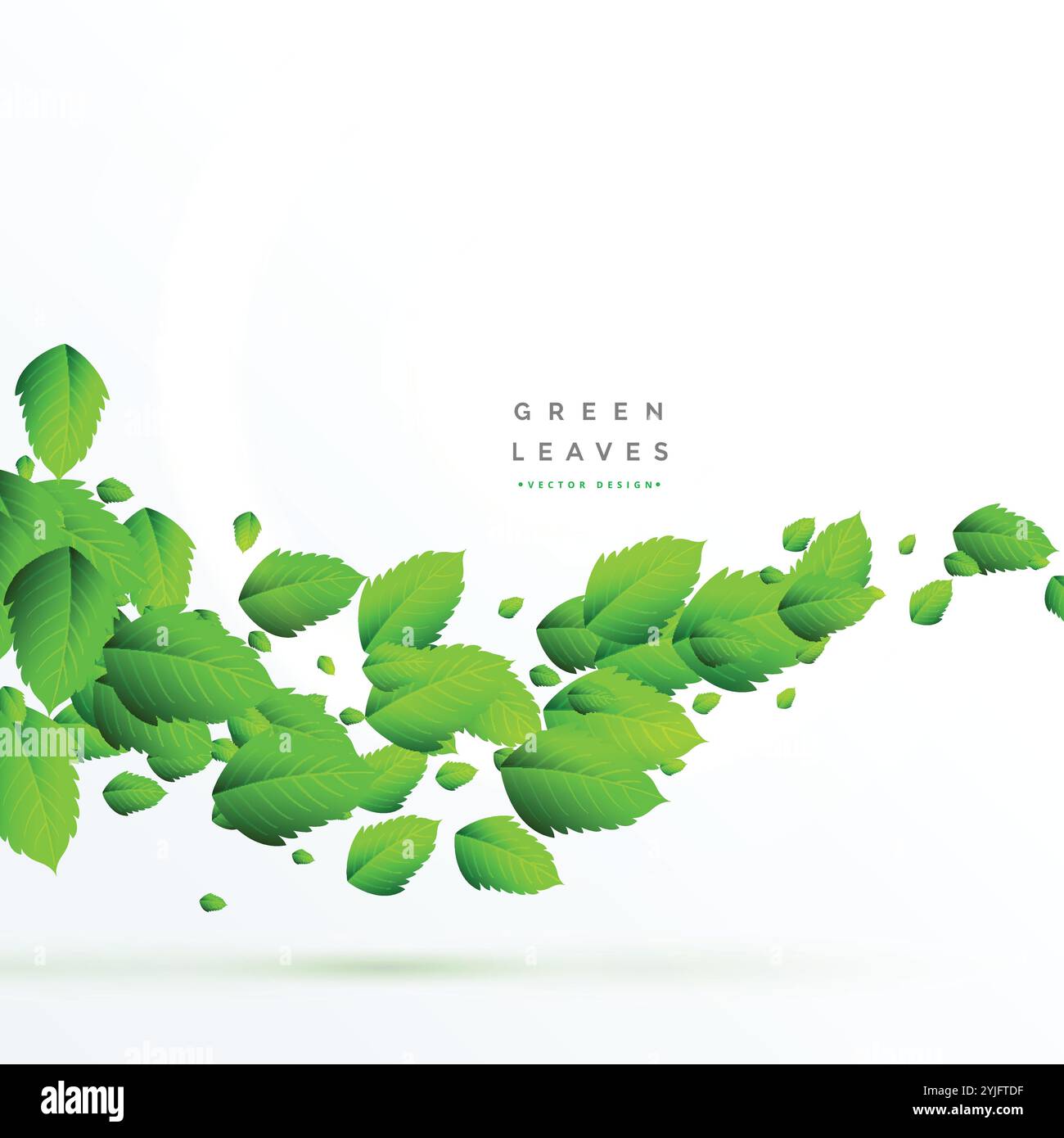 Floating leaf leaves Stock Vector Images - Alamy