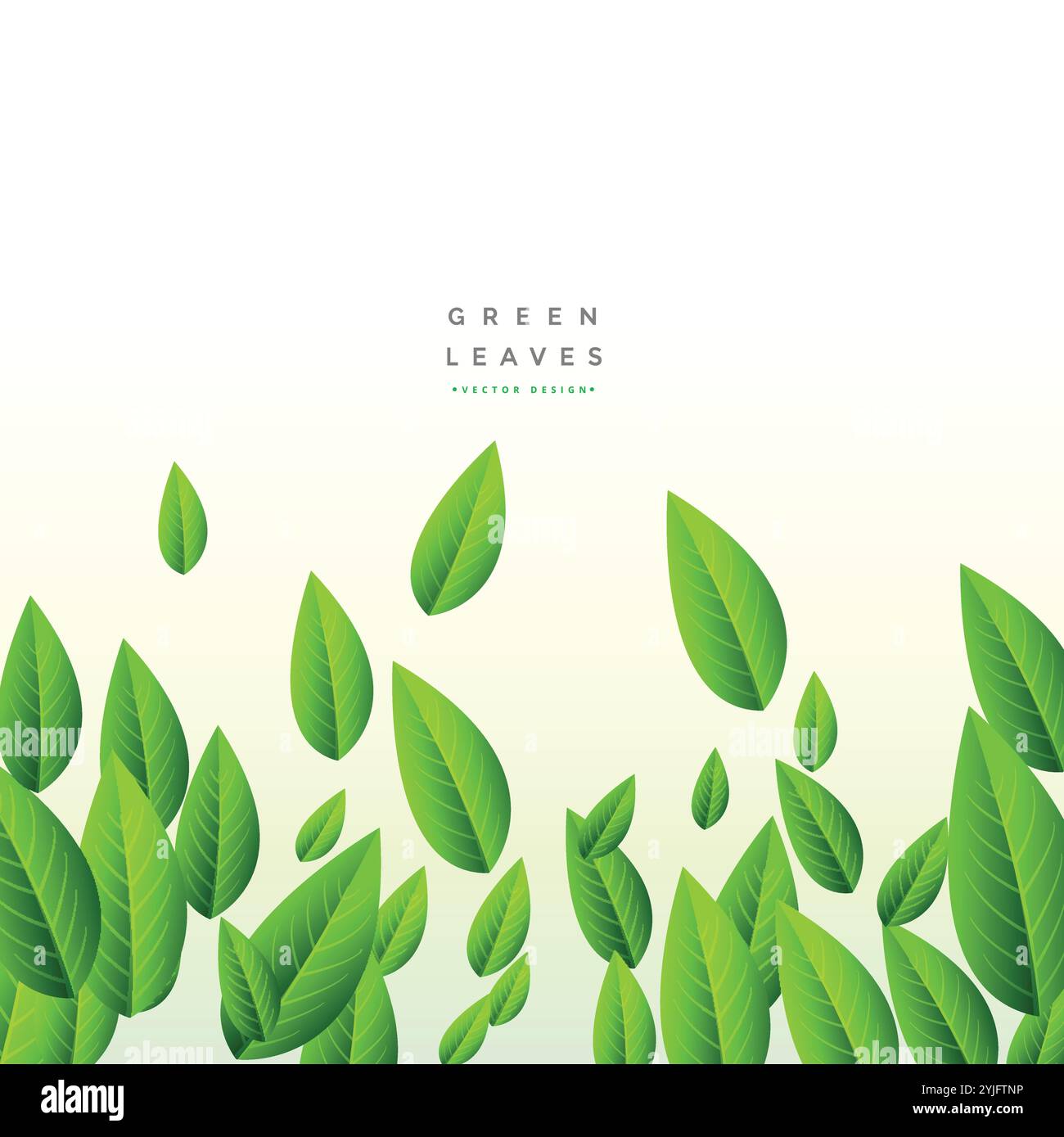 Long leaves plant Stock Vector Images - Alamy