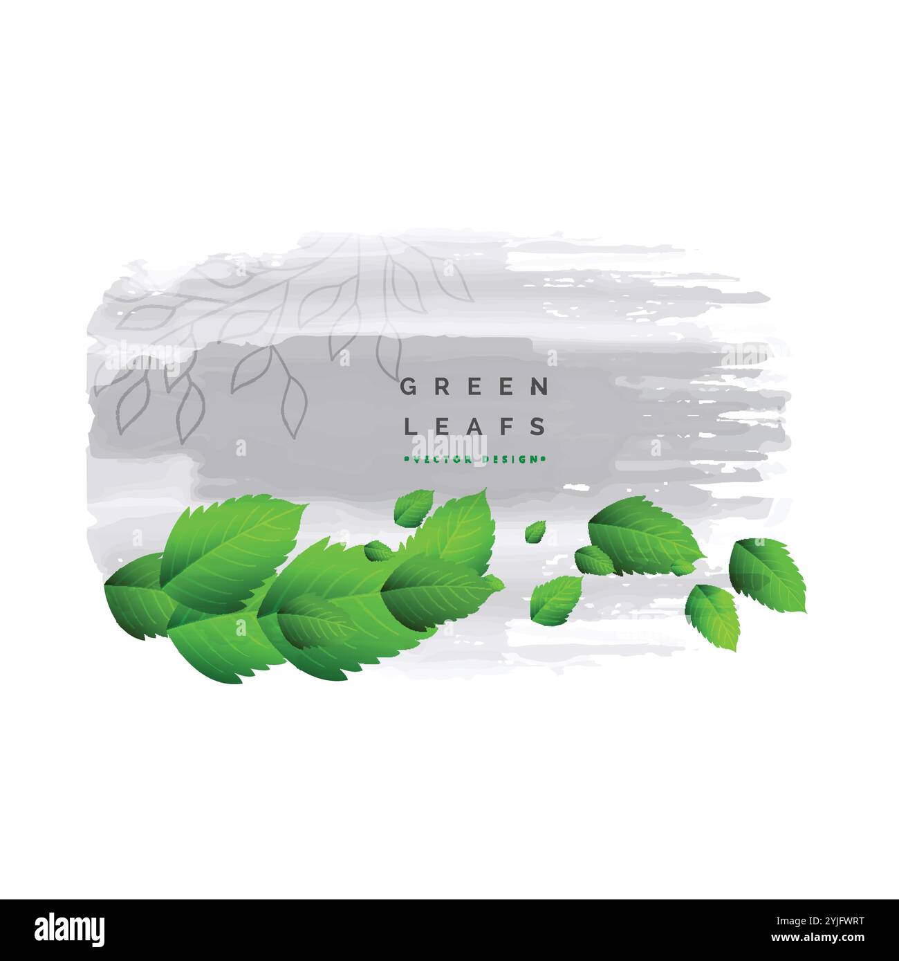 Fesh foliage hi-res stock photography and images - Alamy