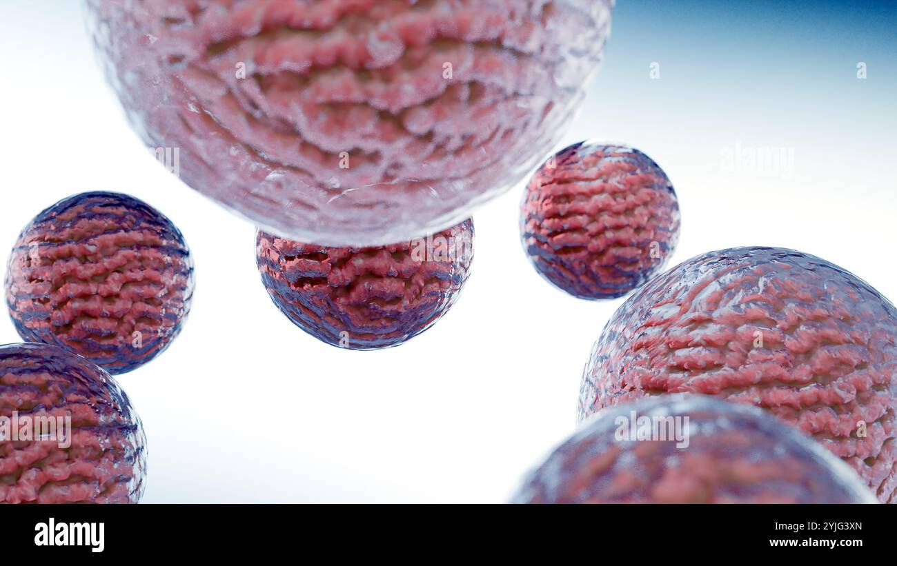 Cholesterol lipid cell membrane hi-res stock photography and images - Alamy