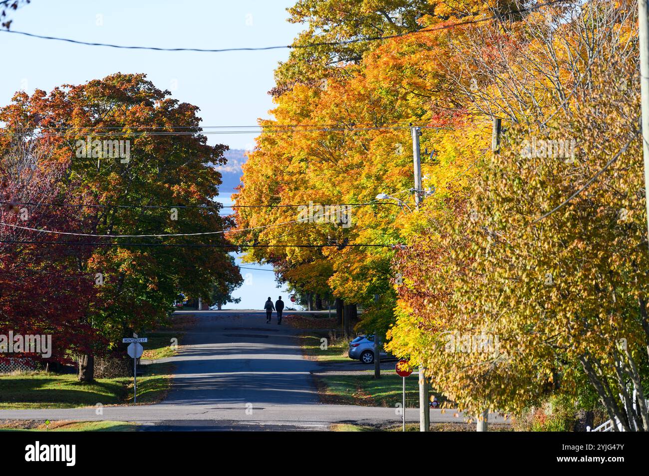 Fall foliage new brunswick hi-res stock photography and images - Alamy