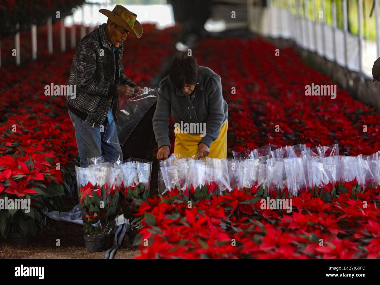 Mexico City, Mexico. 14th Nov, 2024. Nicolás Galicia Muñoz during the ...