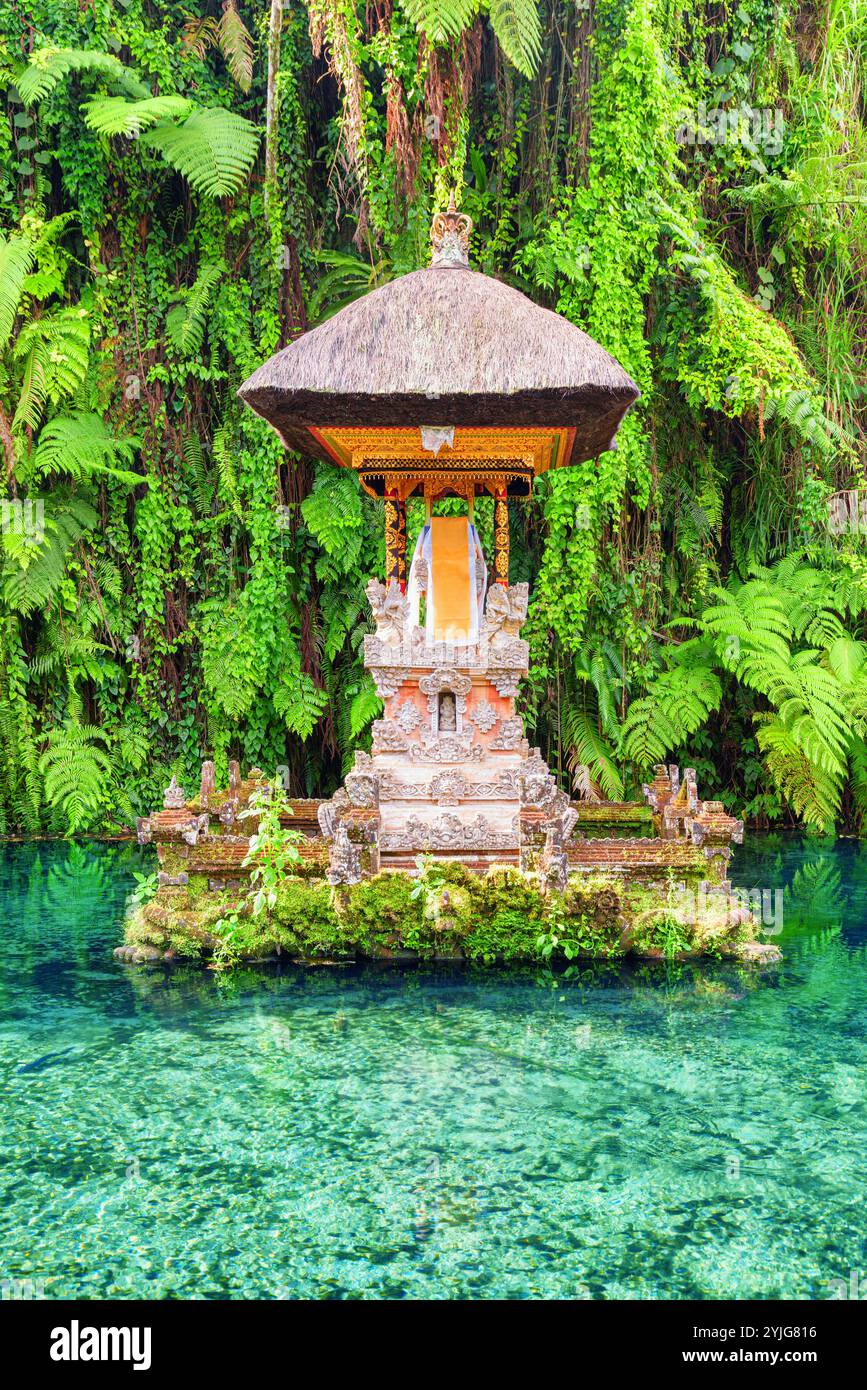 Pond at a Hindu Balinese water temple in Bali, Indonesia Stock Photo ...