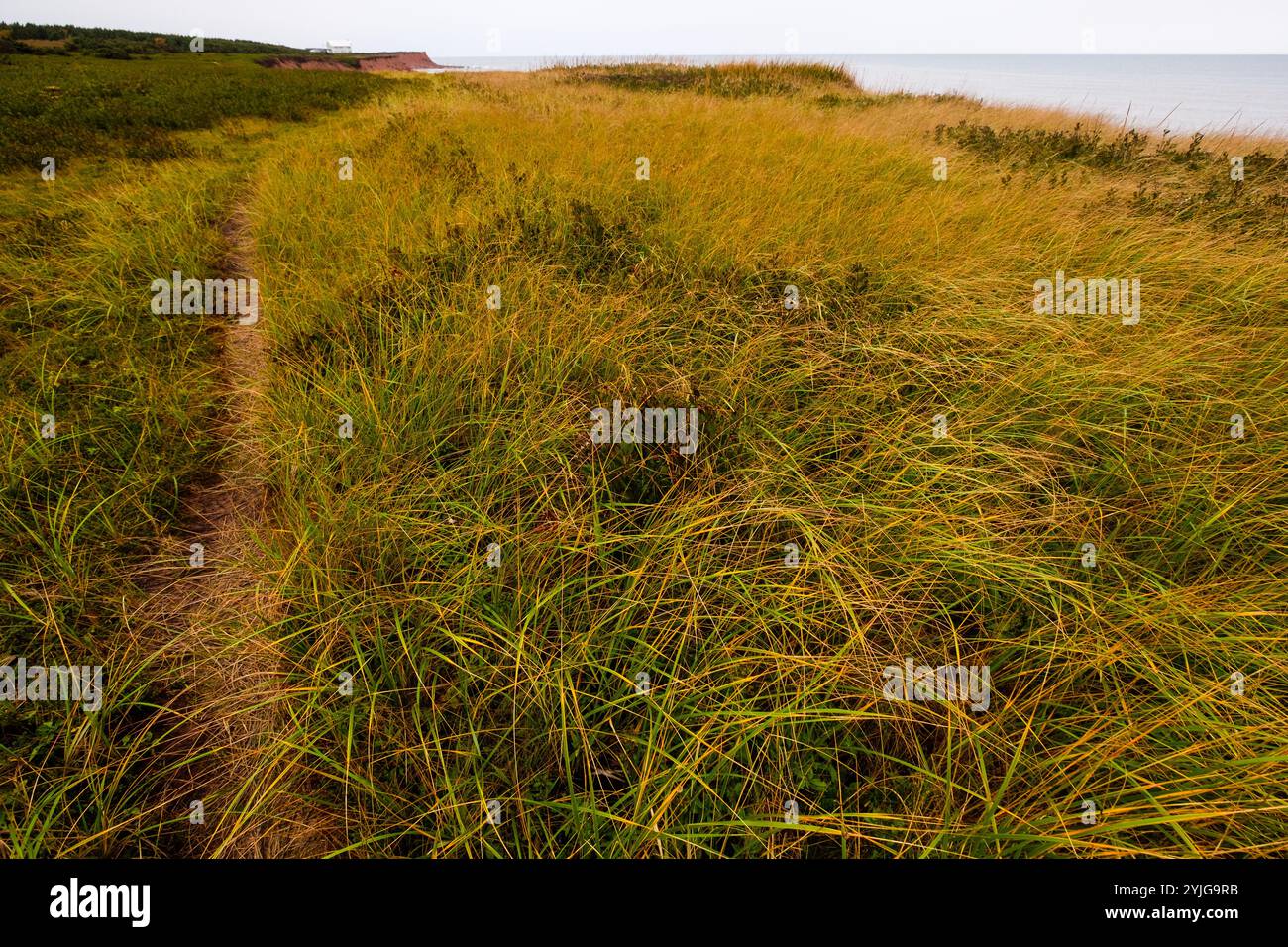 Big sweeping view of the sea coast shore on Prince Edward Island ...