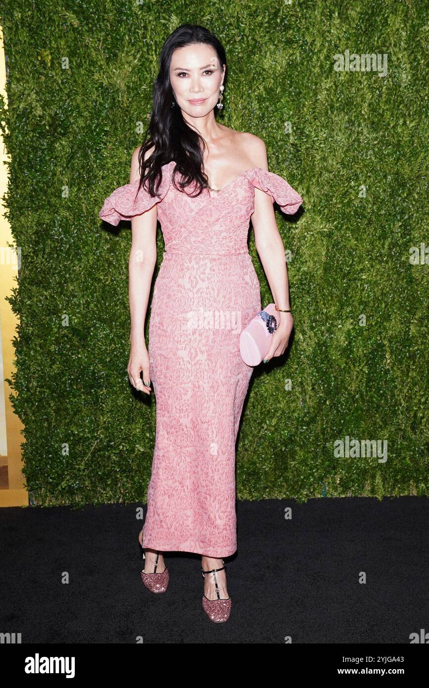 Ny. 14th Nov, 2024. Wendi Deng Murdoch at arrivals for WICKED Premiere ...