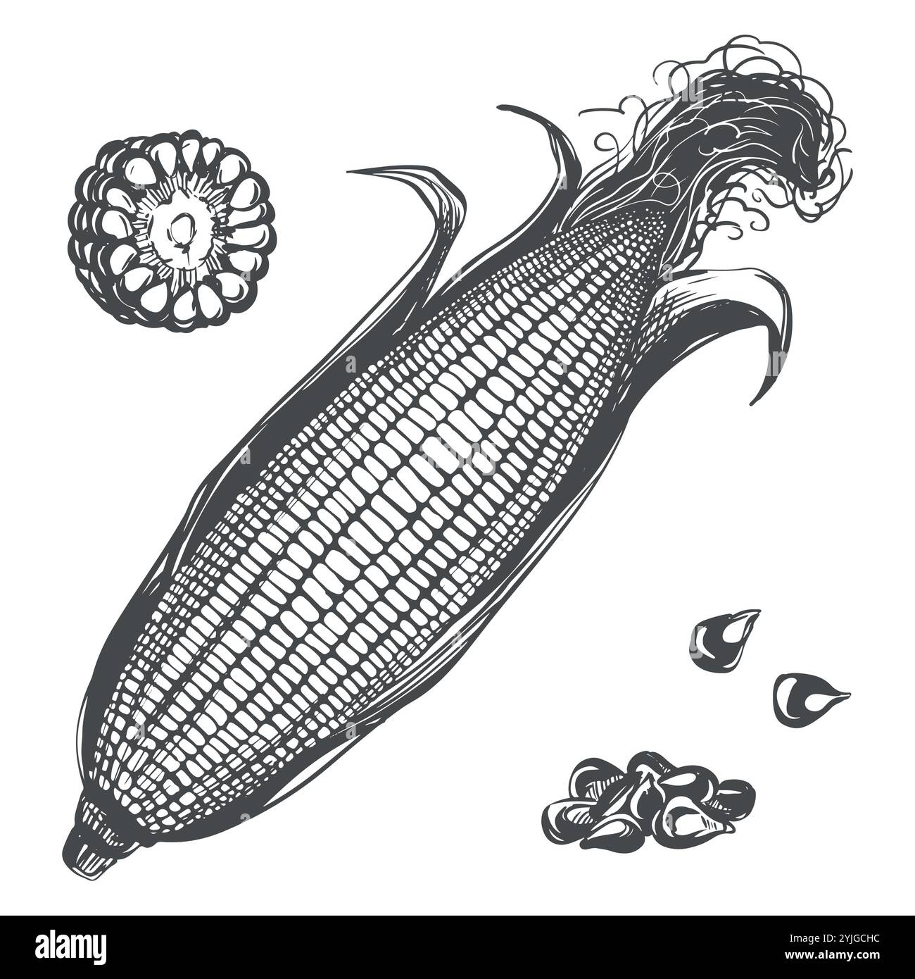 Draw leaf table Black and White Stock Photos & Images - Alamy