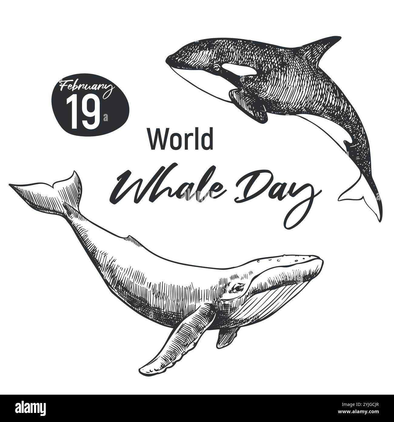 Whale Day emblem, February 19, 2025. Vector linear drawing of humpback ...
