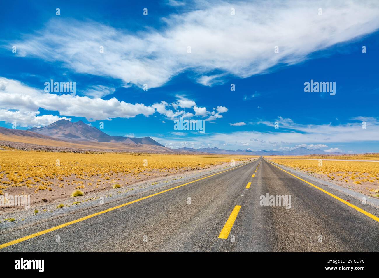 Beautiful Andes mountains landscape, Araucania district, Lonquimay ...