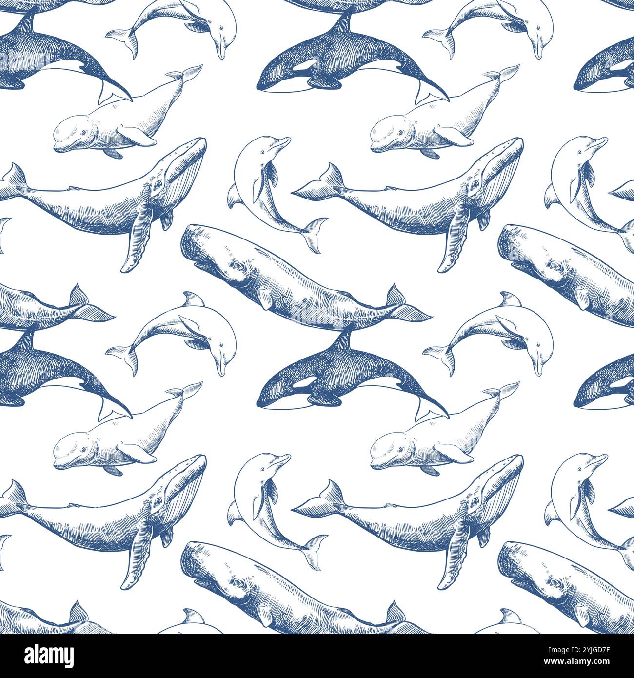 Seamless pattern with marine mammals. Hand drawn vector sketch in ...