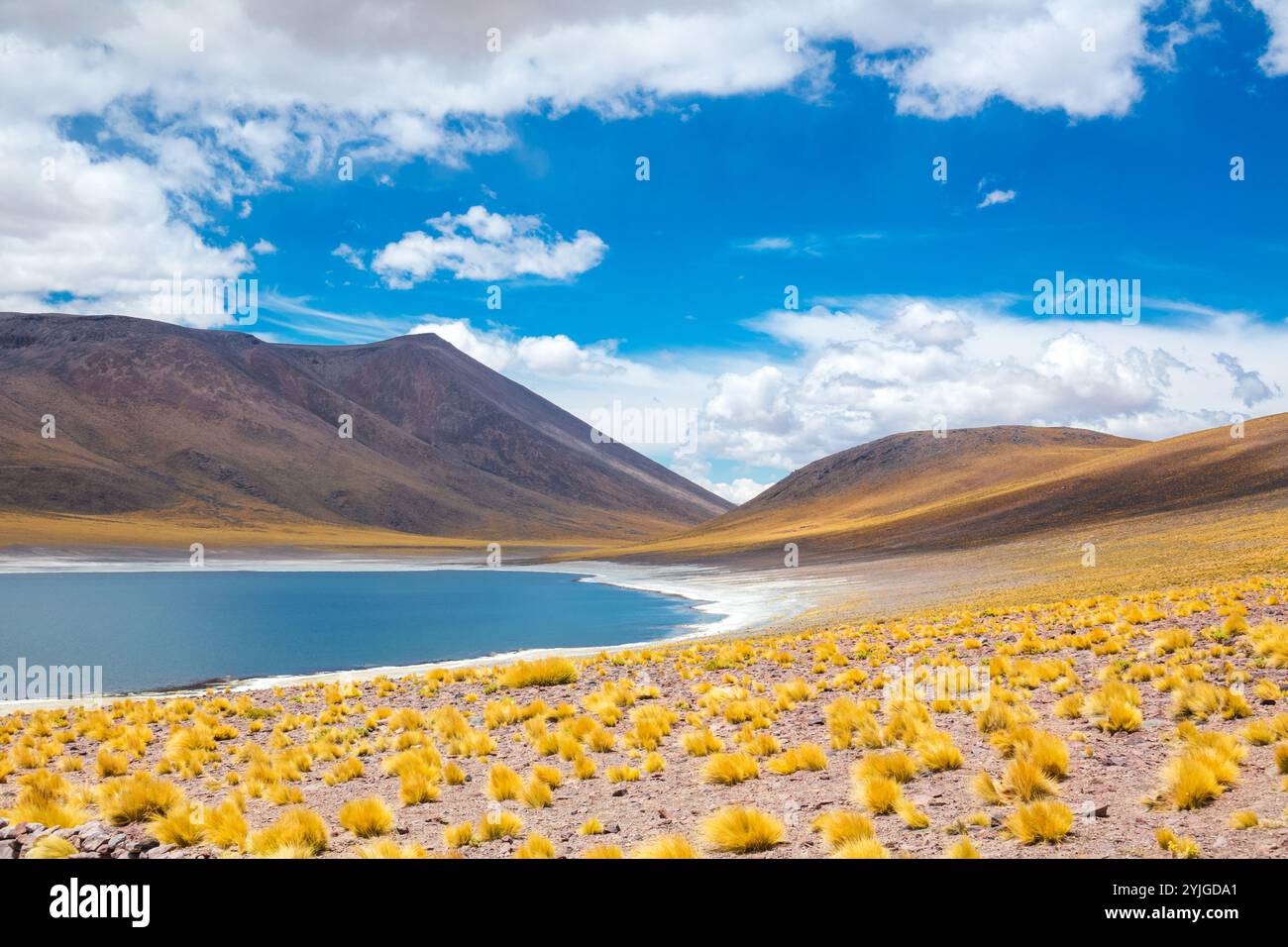 Atacama Altiplana desert, Laguna Miscanti salt lake and mountains ...