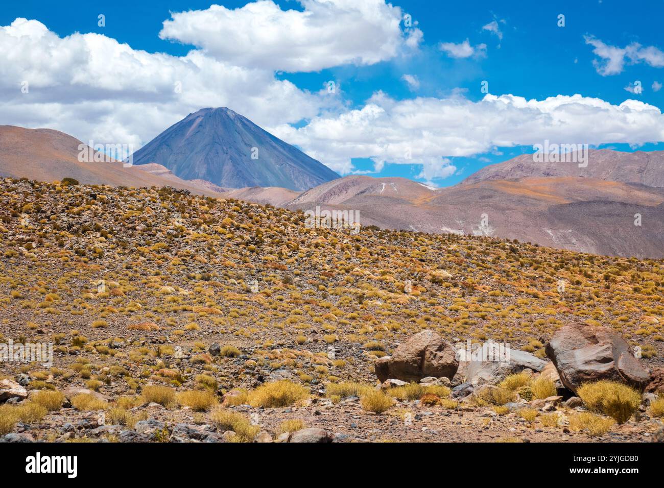 Atacama Altiplana desert savanna and mountains landscape, Miniques ...