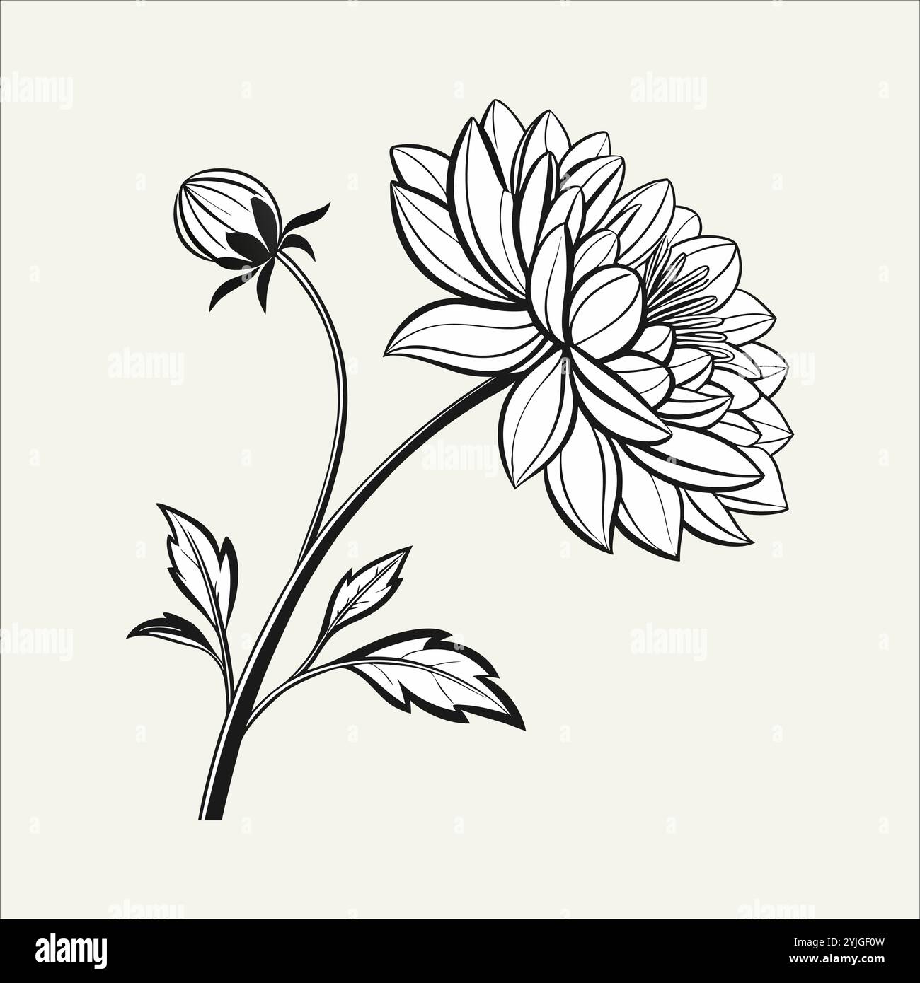Black and white dahlia flower line art leaves Stock Vector Image & Art ...