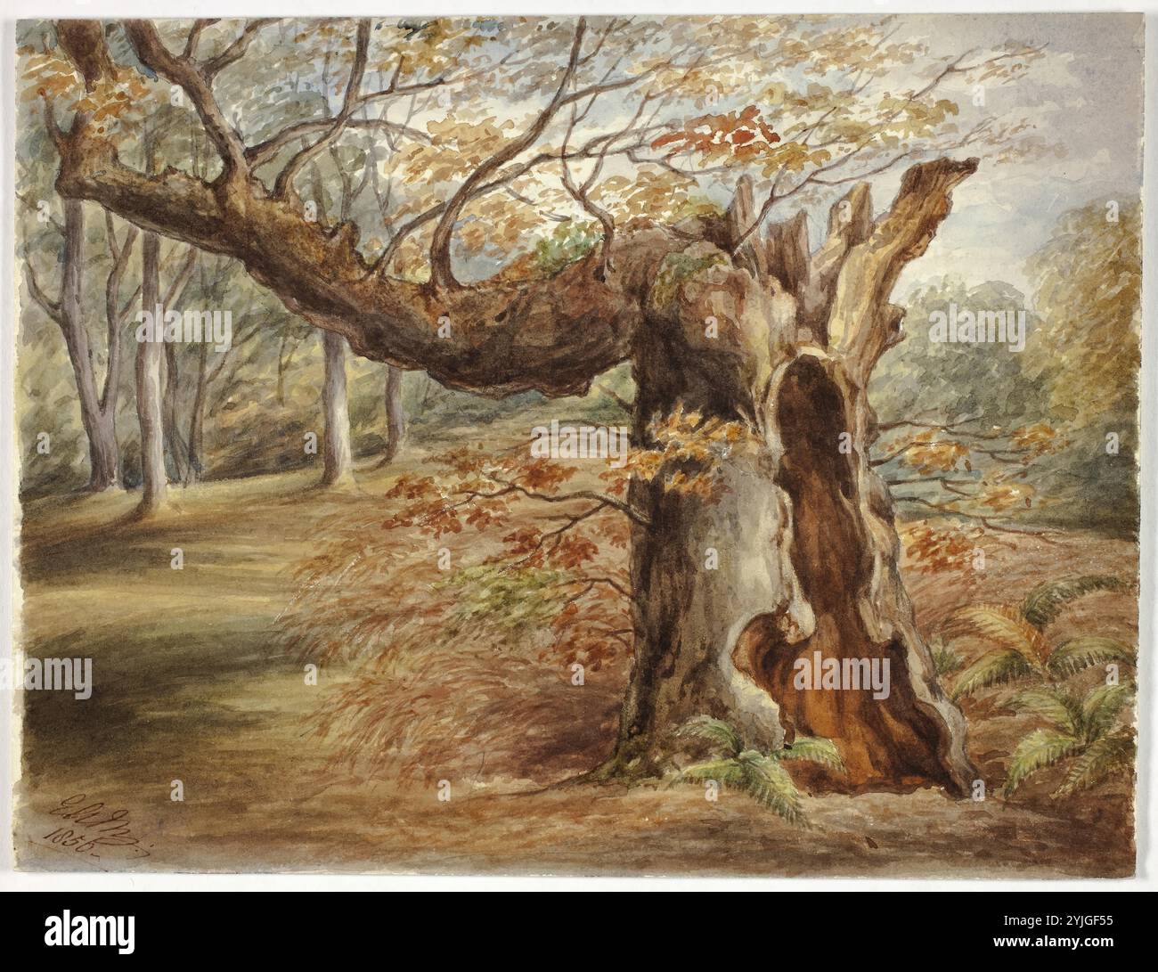 Watercolour on ivory wove paper hi-res stock photography and images - Alamy