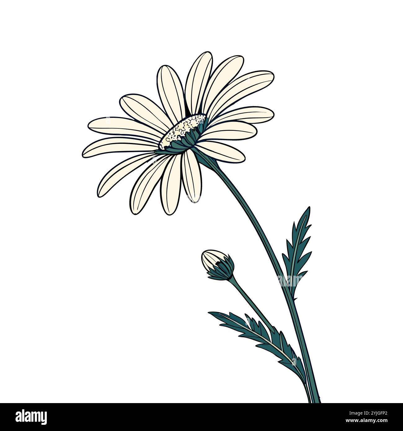 Single flower and leaves Stock Vector Images - Alamy