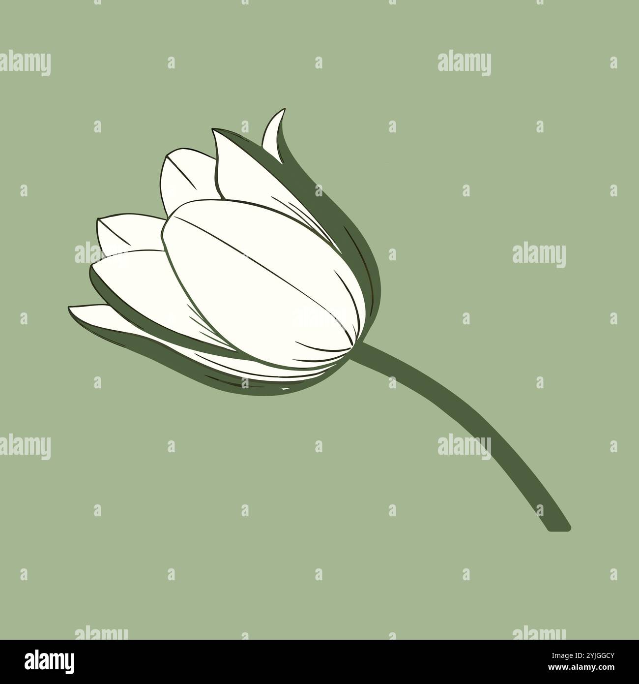 Purple tulip flower Stock Vector Images - Alamy