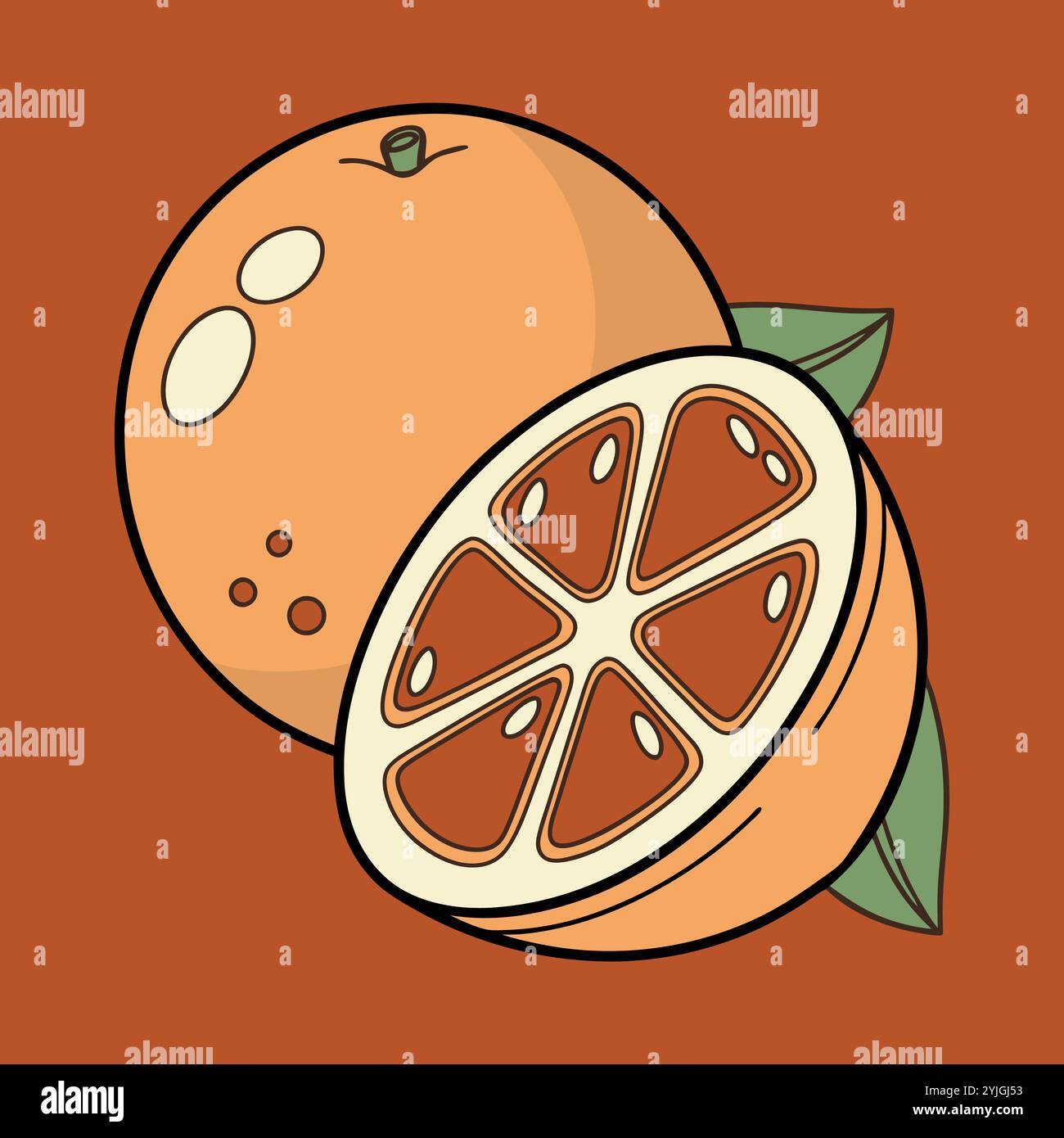 Whole and half an orange Stock Vector Image & Art - Alamy