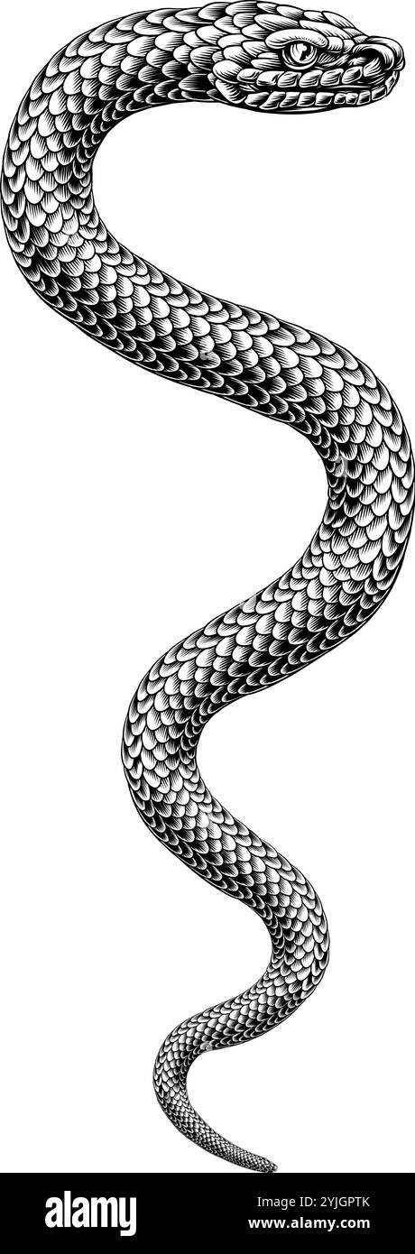 Snake Coiled Serpent Vintage Style Illustration Stock Vector Image ...