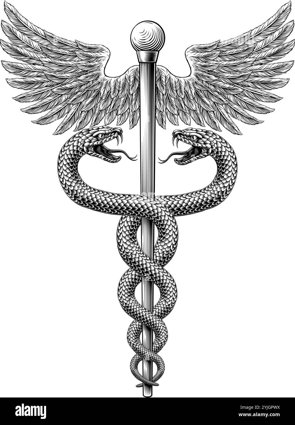 Winged serpent symbol Black and White Stock Photos & Images - Alamy