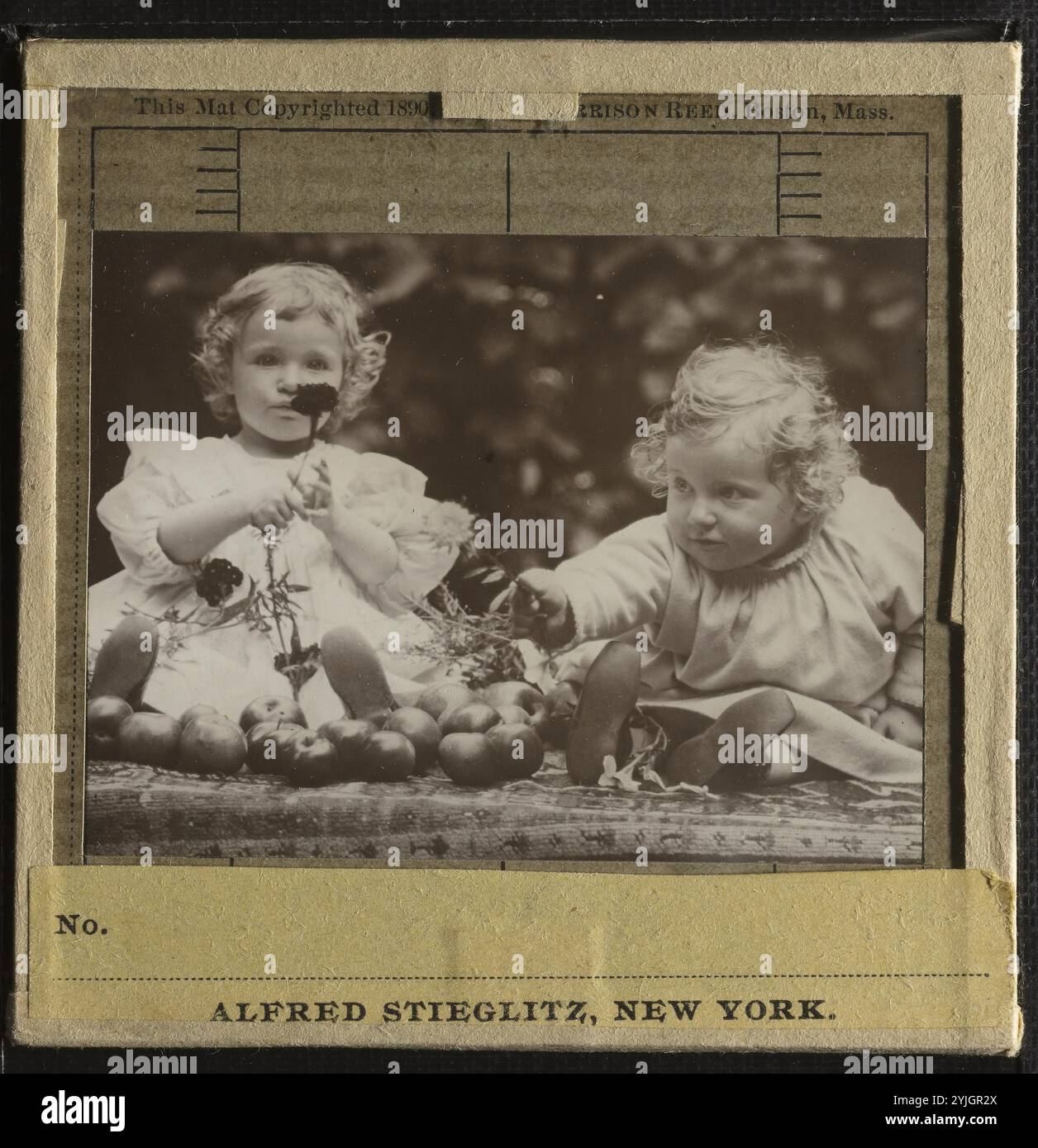 Alfred stieglitz flower hi-res stock photography and images - Alamy