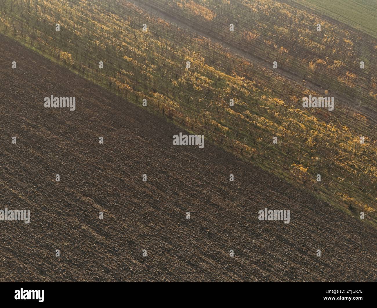 Vineyards from above aerial drone hi-res stock photography and images ...