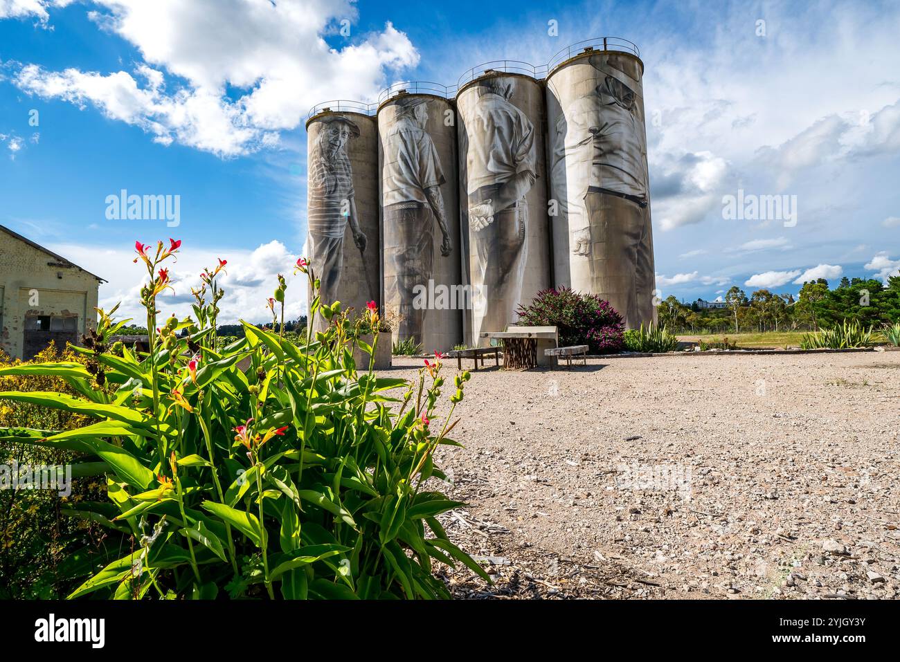 Silo art by Guido van Helten at the old cement works at Portland in the ...