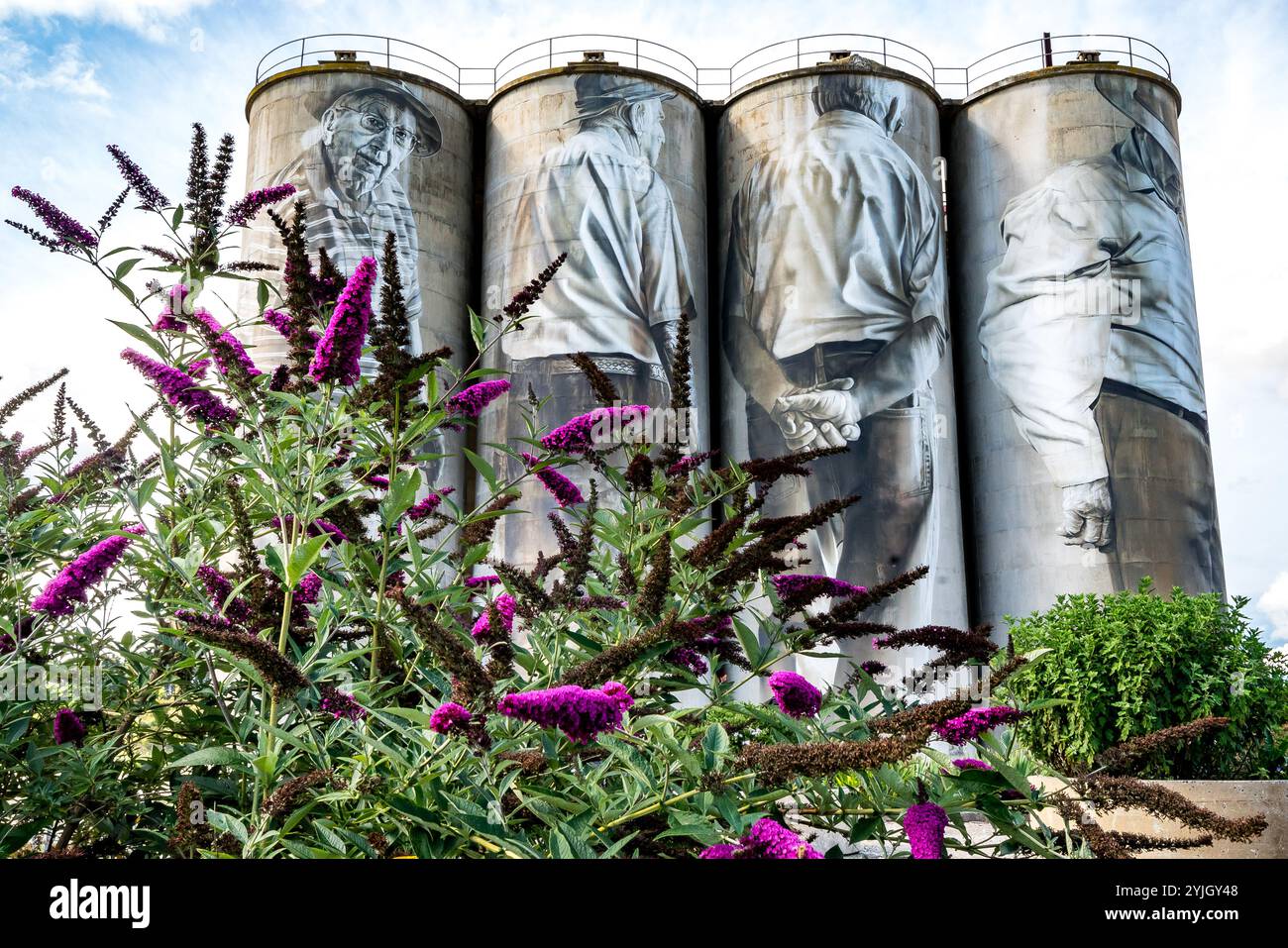 Silo art by Guido van Helten at the old cement works at Portland in the ...