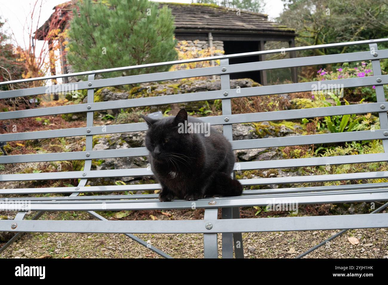 English cottage garden autumn hi-res stock photography and images - Alamy