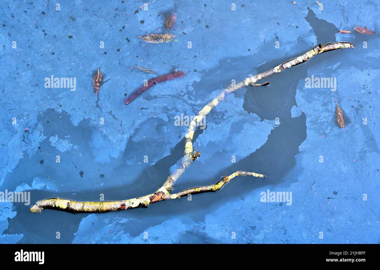 Floating branch across polluted oily blue still water Stock Photo - Alamy