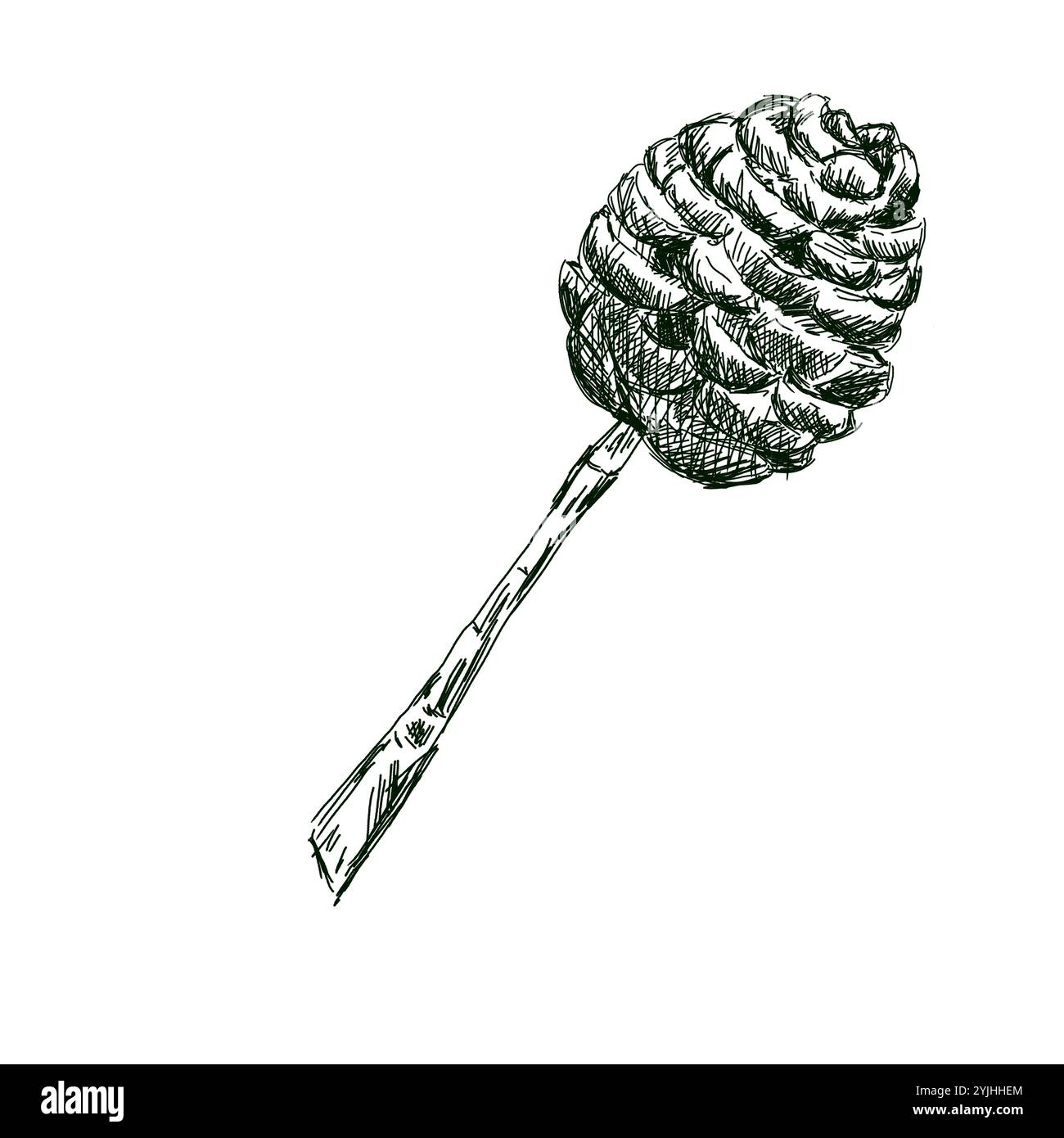 Ginger Flower Bud on Stem Side View Graphic Black and White ...