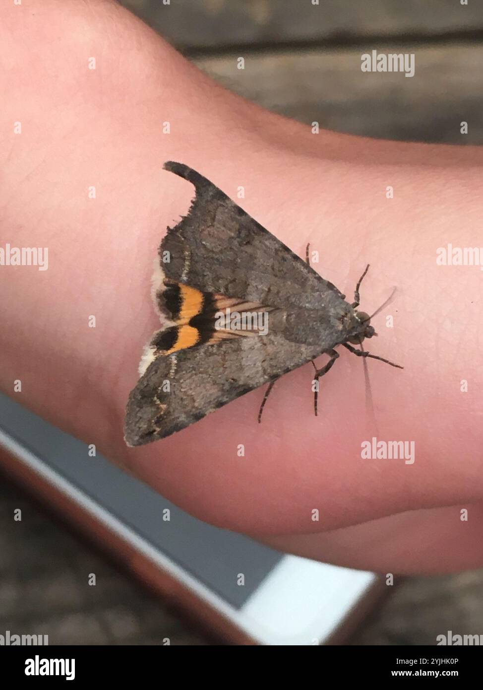 Bulia hi-res stock photography and images - Alamy