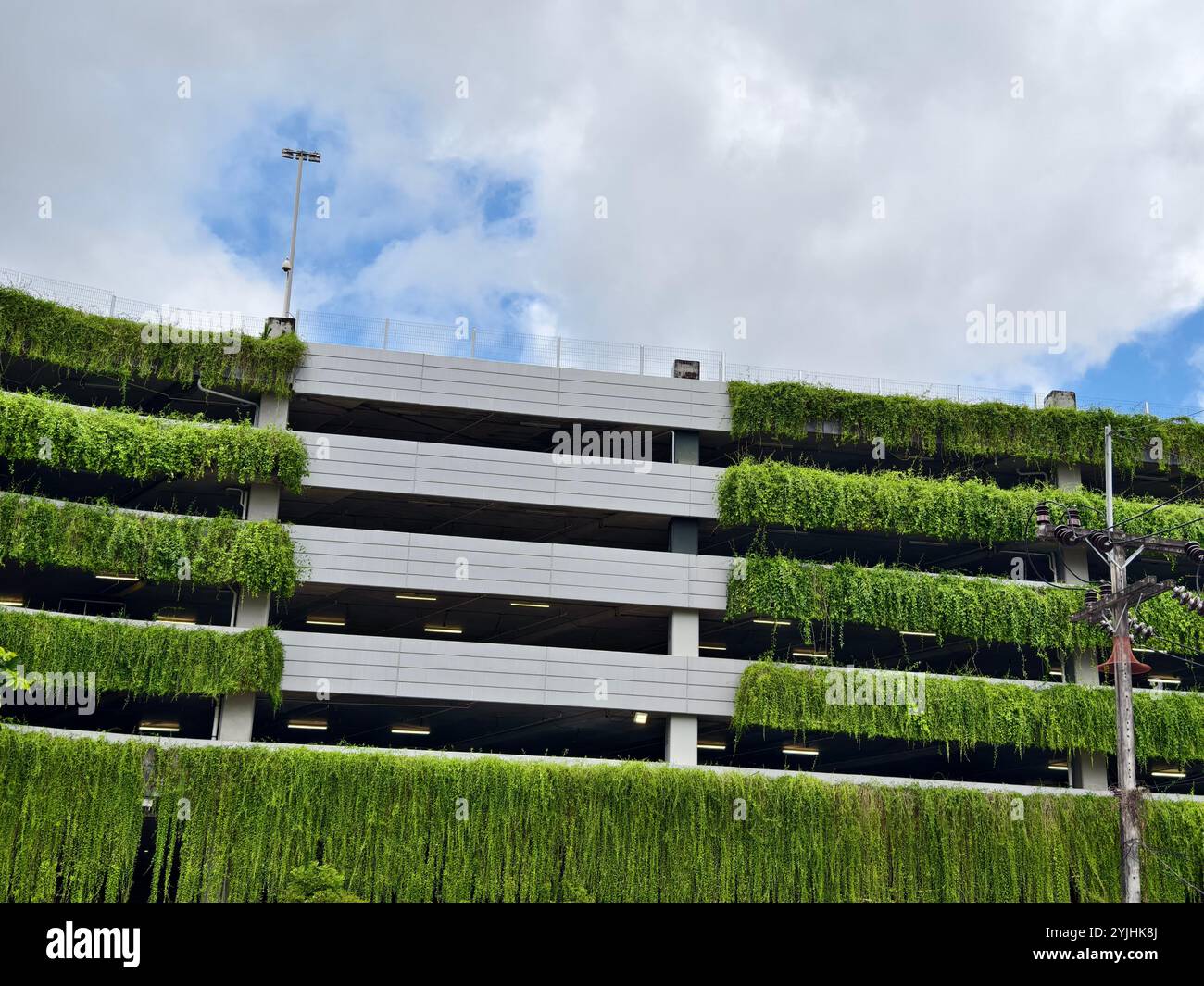 Detailed view of windows, doors and balconies of city buildings Stock ...