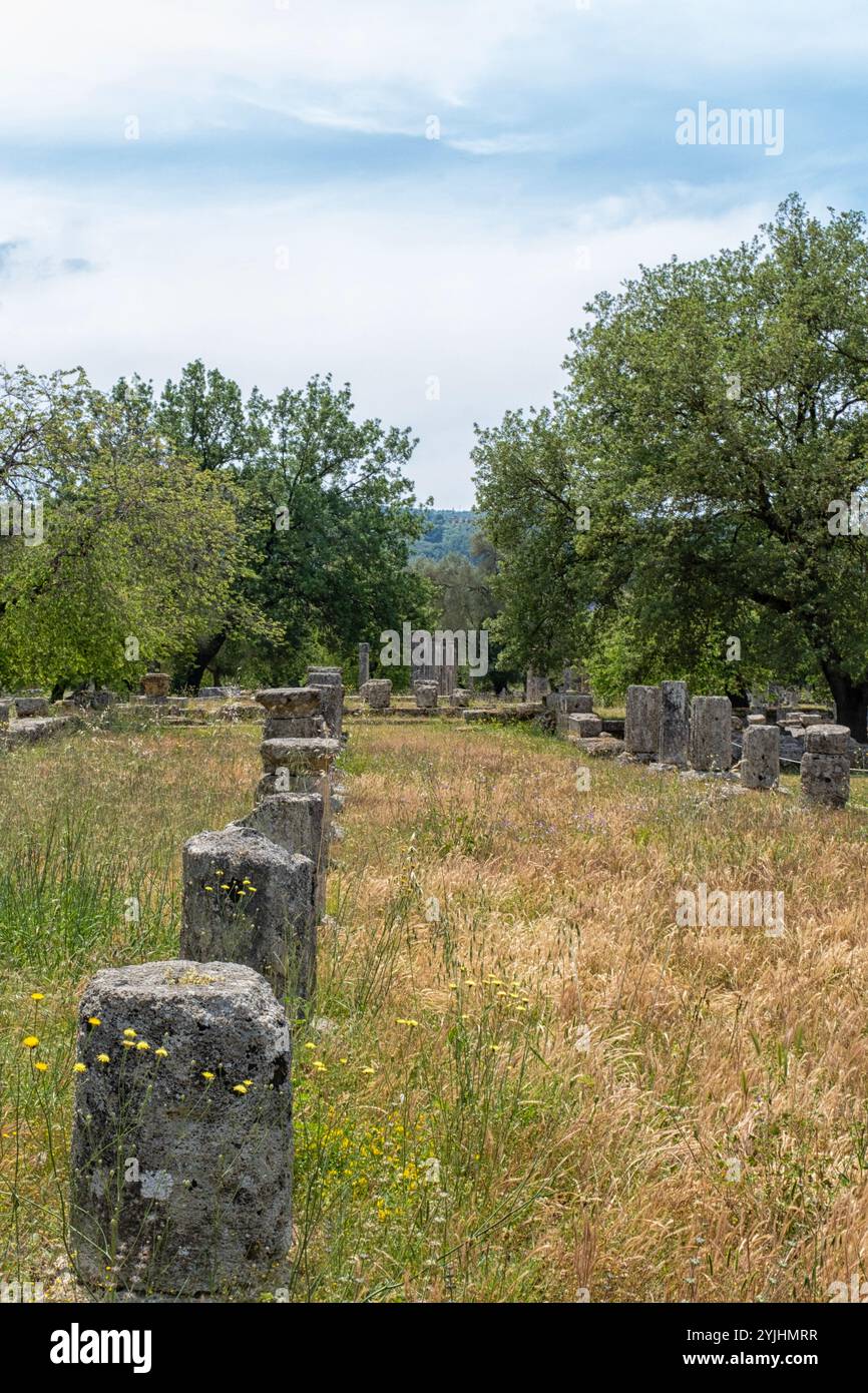 The Gymnasion. Gymnasium, Ancient Olympia., Olympia, Peloponnese ...