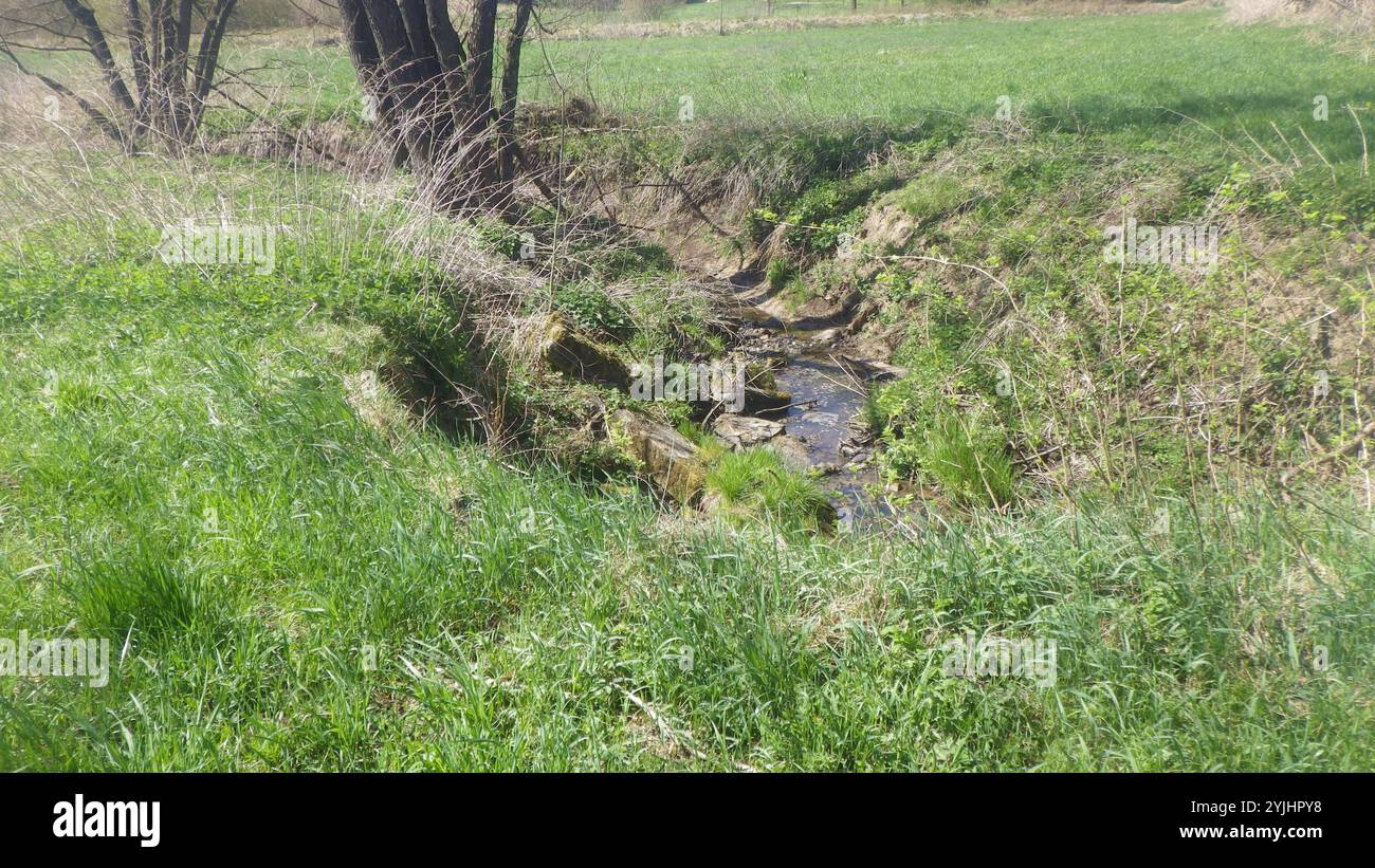Irrigation and watering in agriculture, arable farming and field work ...