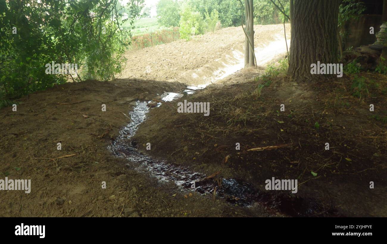 Irrigation and watering in agriculture, arable farming and field work ...