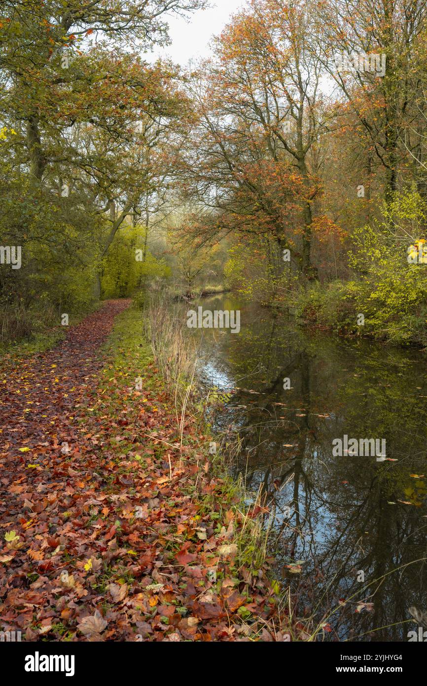 Vibrant autumn, fall tree and leaf colours along the Caldon canal ...