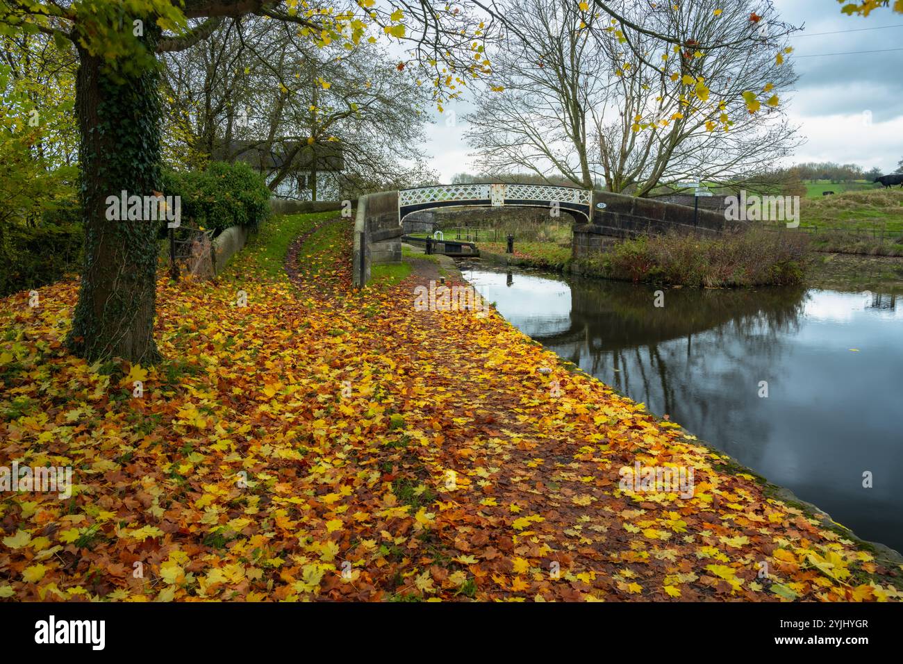 Rural autumn landscape scene of bridge 35 on the Caldon canal inland ...