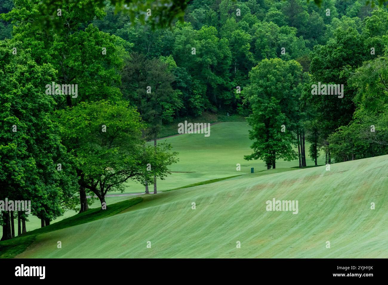 Rolling hills trees grass hi-res stock photography and images - Alamy