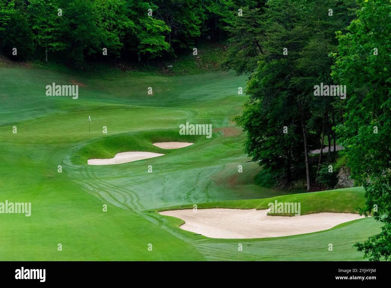 Golf course fairway, sand traps with grass and trees Stock Photo - Alamy