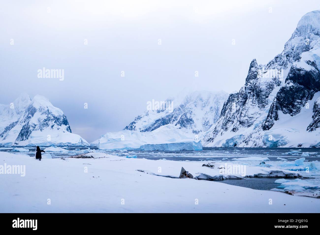 Antarctica view. Seascape and landscape of Antarctica. Southern Ocean ...