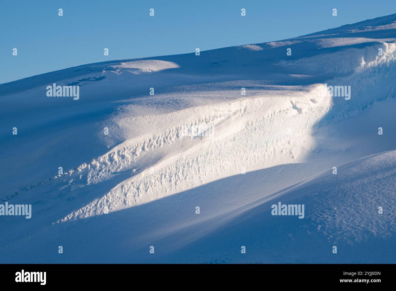 Winter snow background. Texture. Endless snow. Snowdrift Stock Photo ...