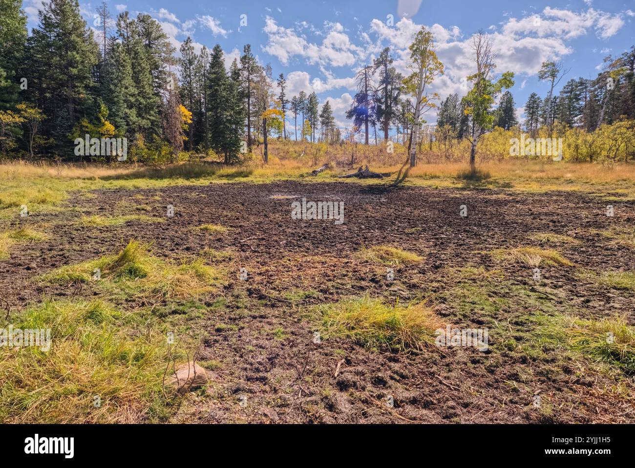 Greenland Lake now dry at North Rim AZ Stock Photo - Alamy