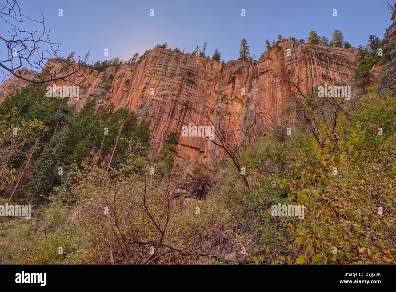 Cliffs of Roaring Springs Canyon at North Rim AZ Stock Photo - Alamy